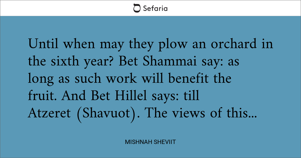 Mishnah Sheviit